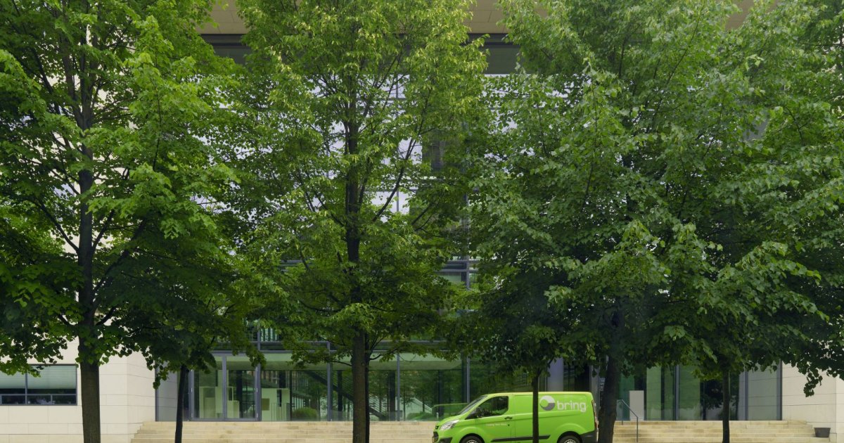 Kan riktigt snabba leveranser också vara hållbara? - Bring.se